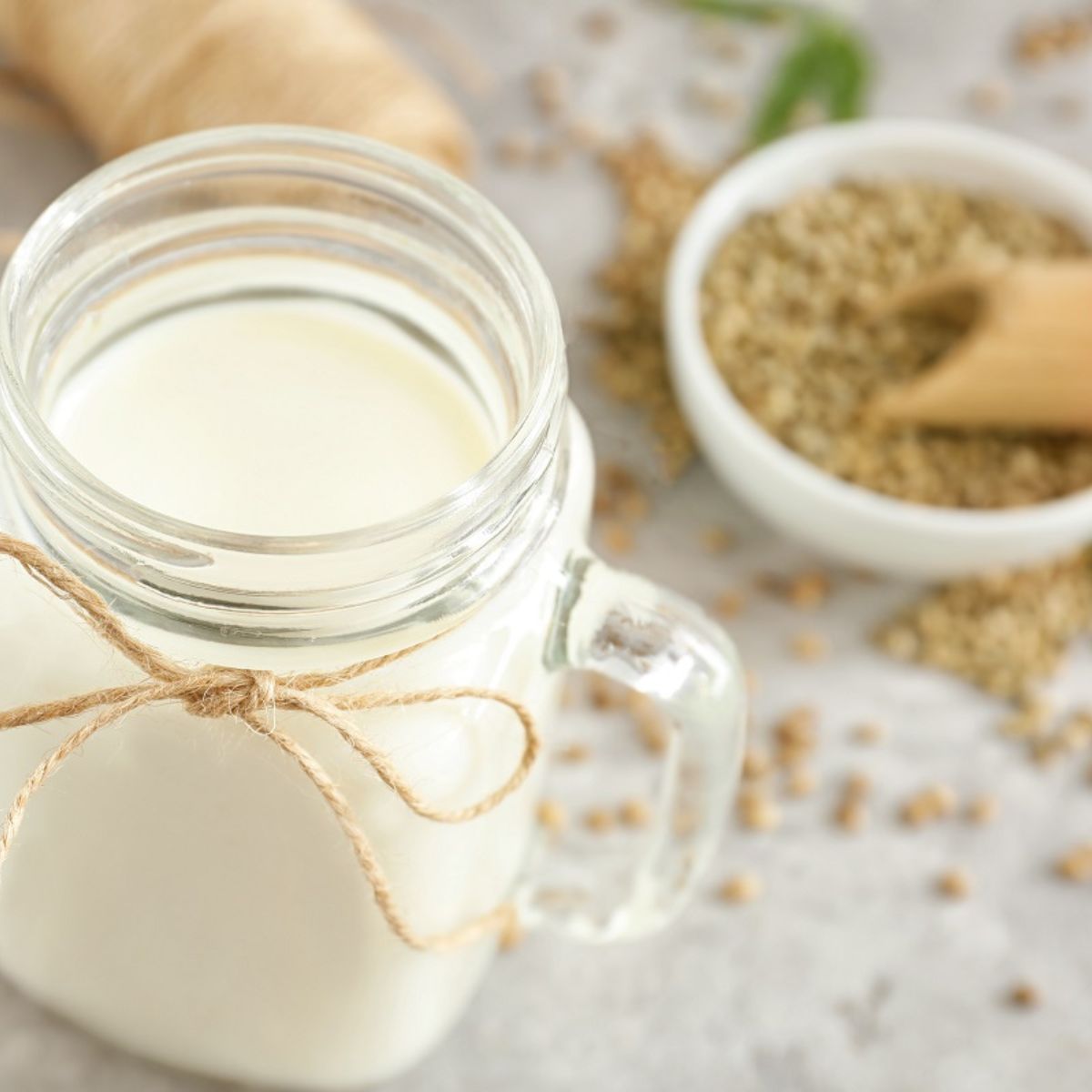 Daniel Fast Milk Substitutes - The Daniel Fast